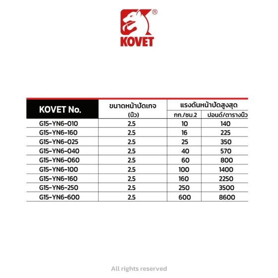 หน้าปัดเกจน้ำมัน | Kovet.com
